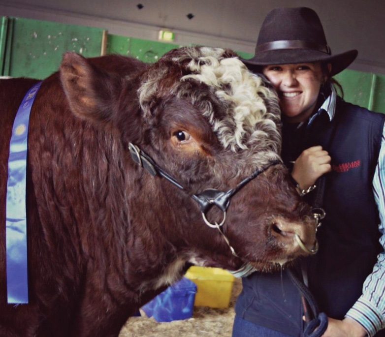 Red, white and roan - Young Country