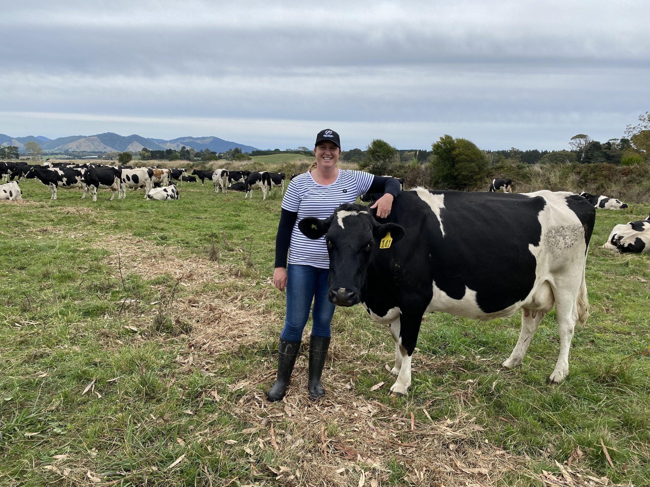 Reproductive rewards - Young Country