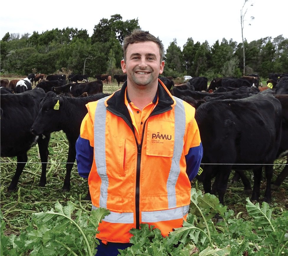 Achieving Zanda goal - Young Country