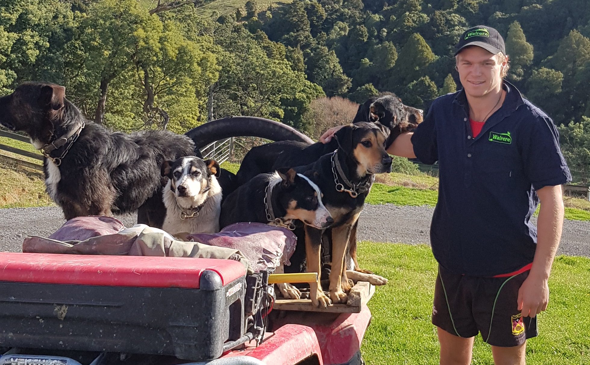 The Wright stuff - Young Country