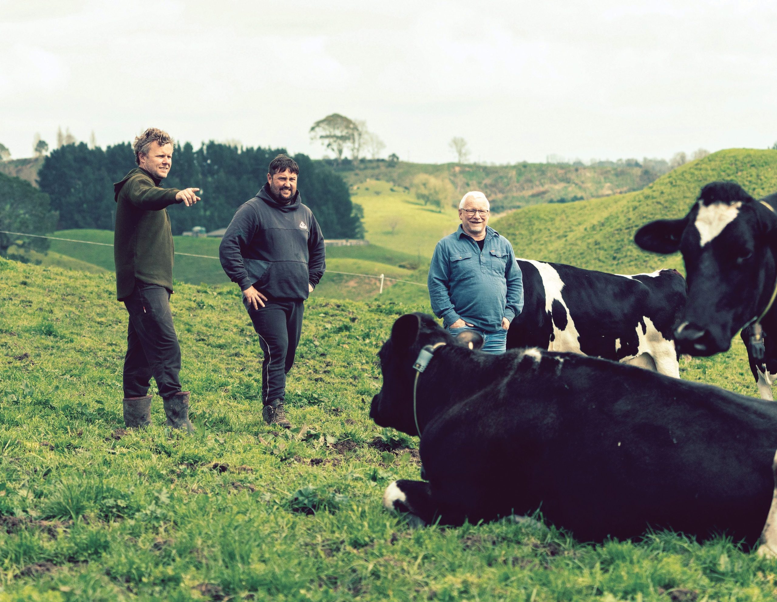 A blueprint for family farms - Young Country