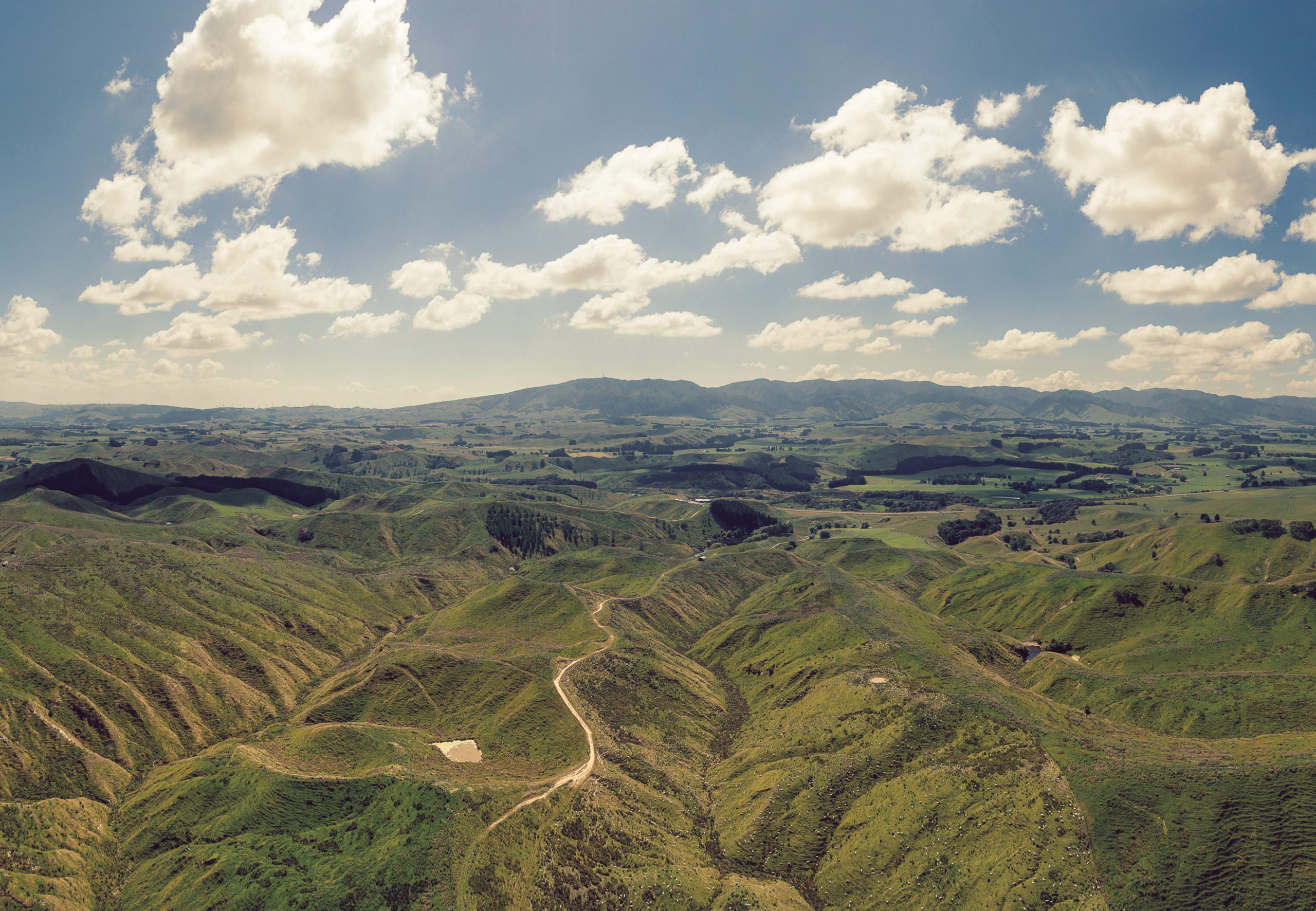 Rural investment catering for long-term planning - Young Country