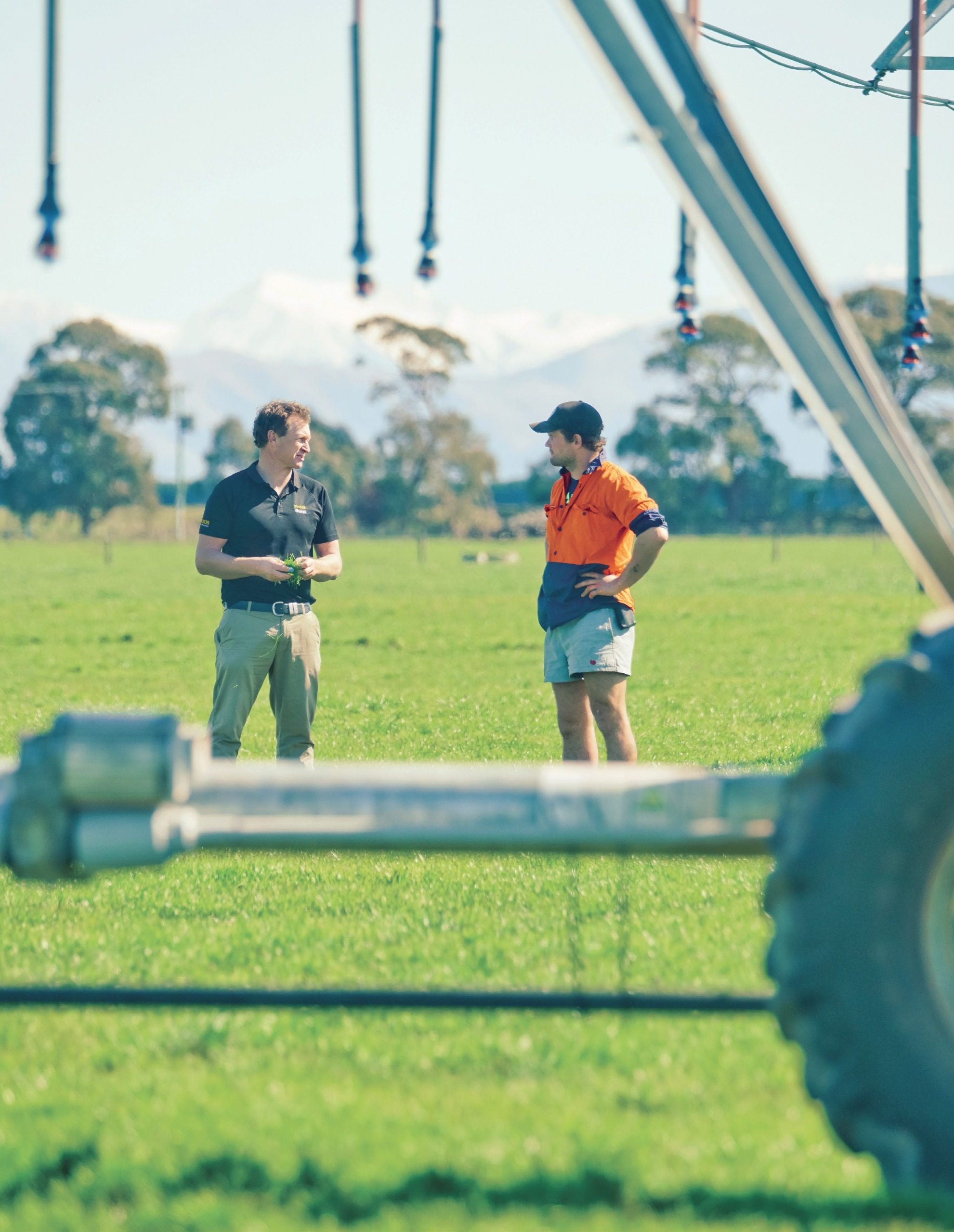 Seven year plan to farm ownership - Young Country