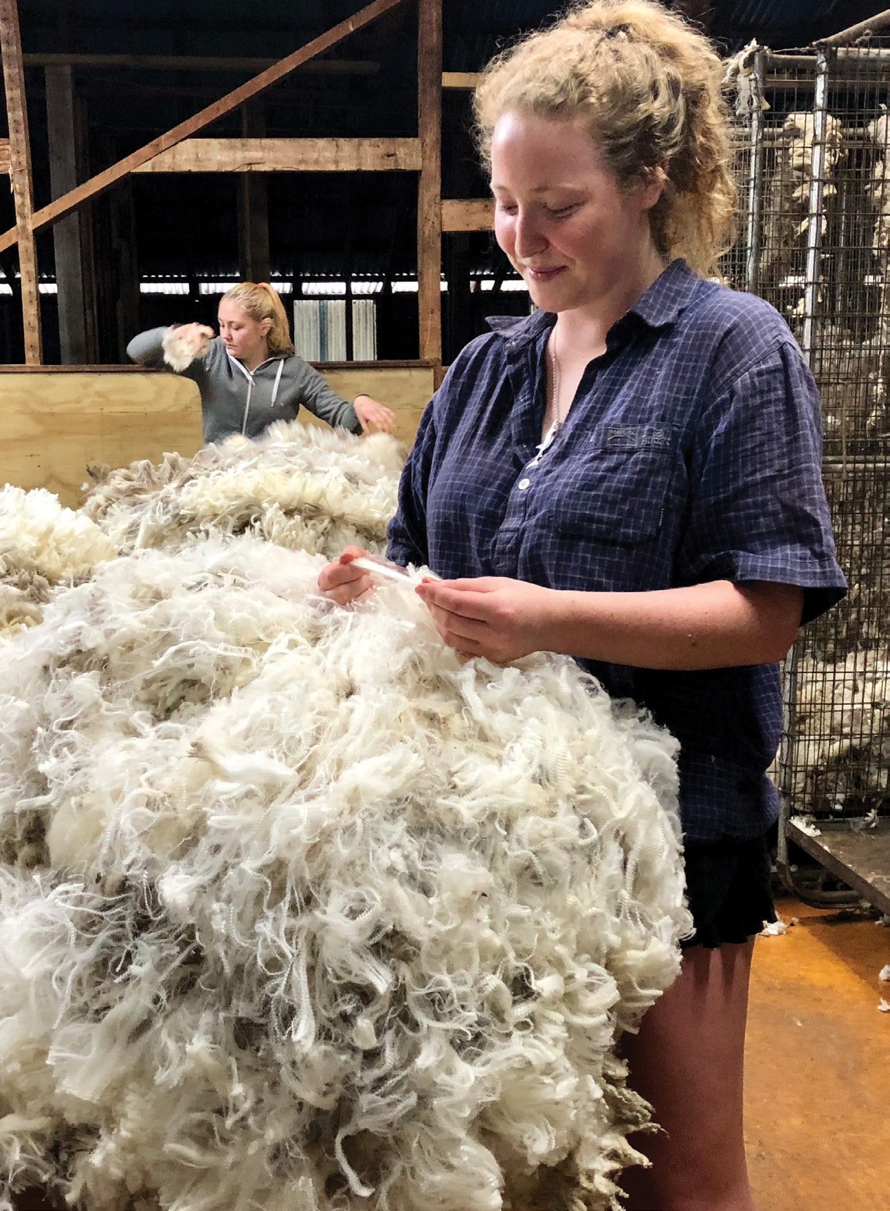 Learning the classer trade - Young Country