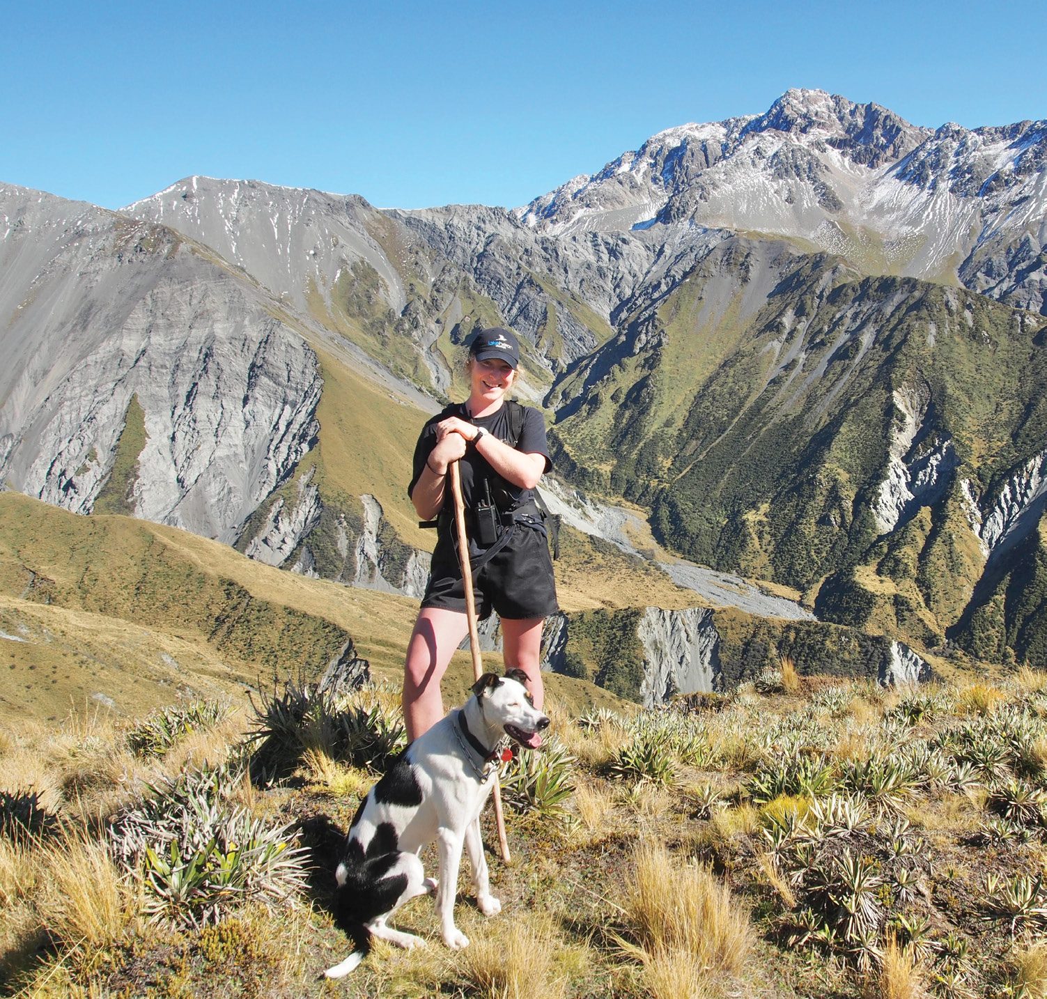 Learning the classer trade - Young Country