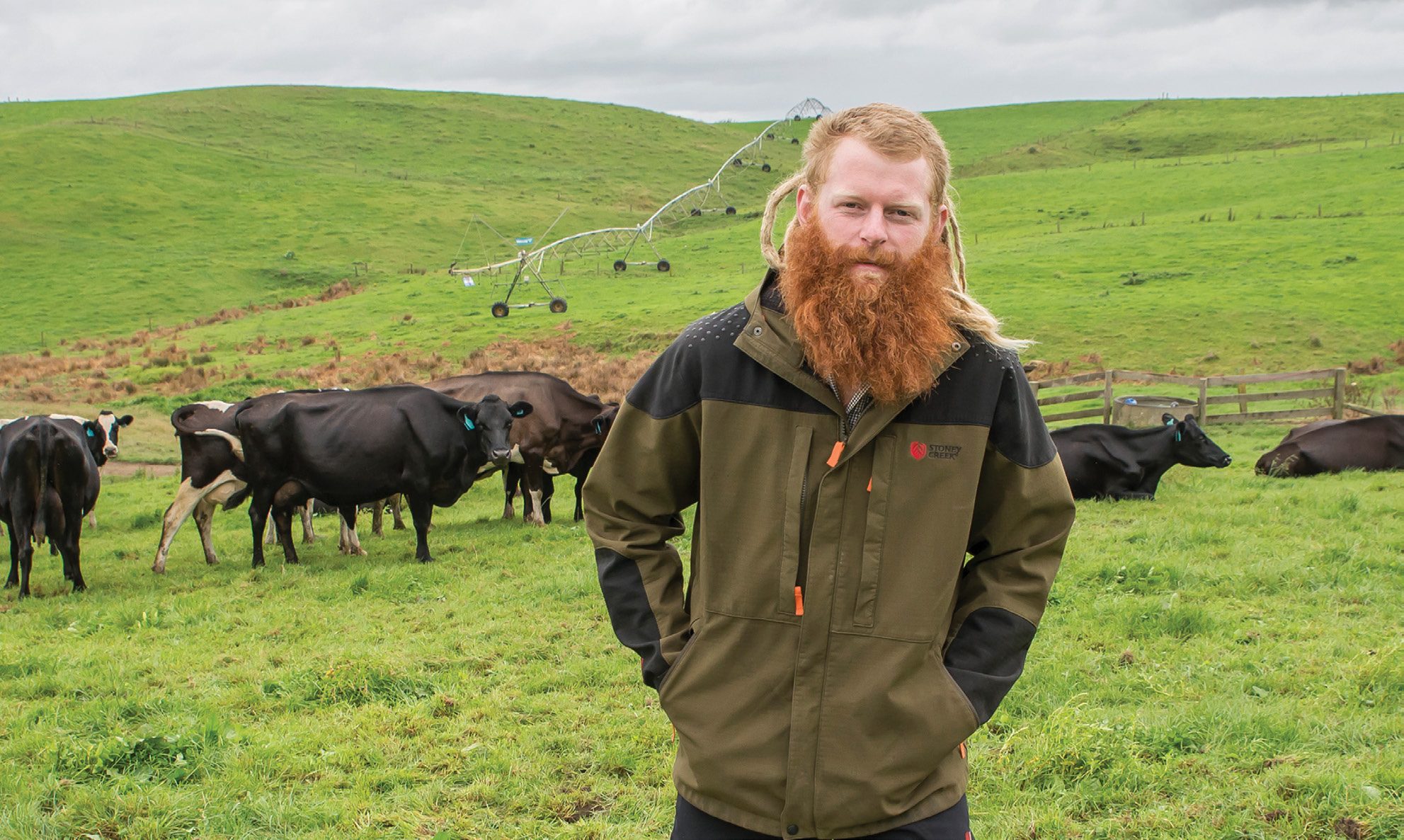 Proof in the pasture - Young Country