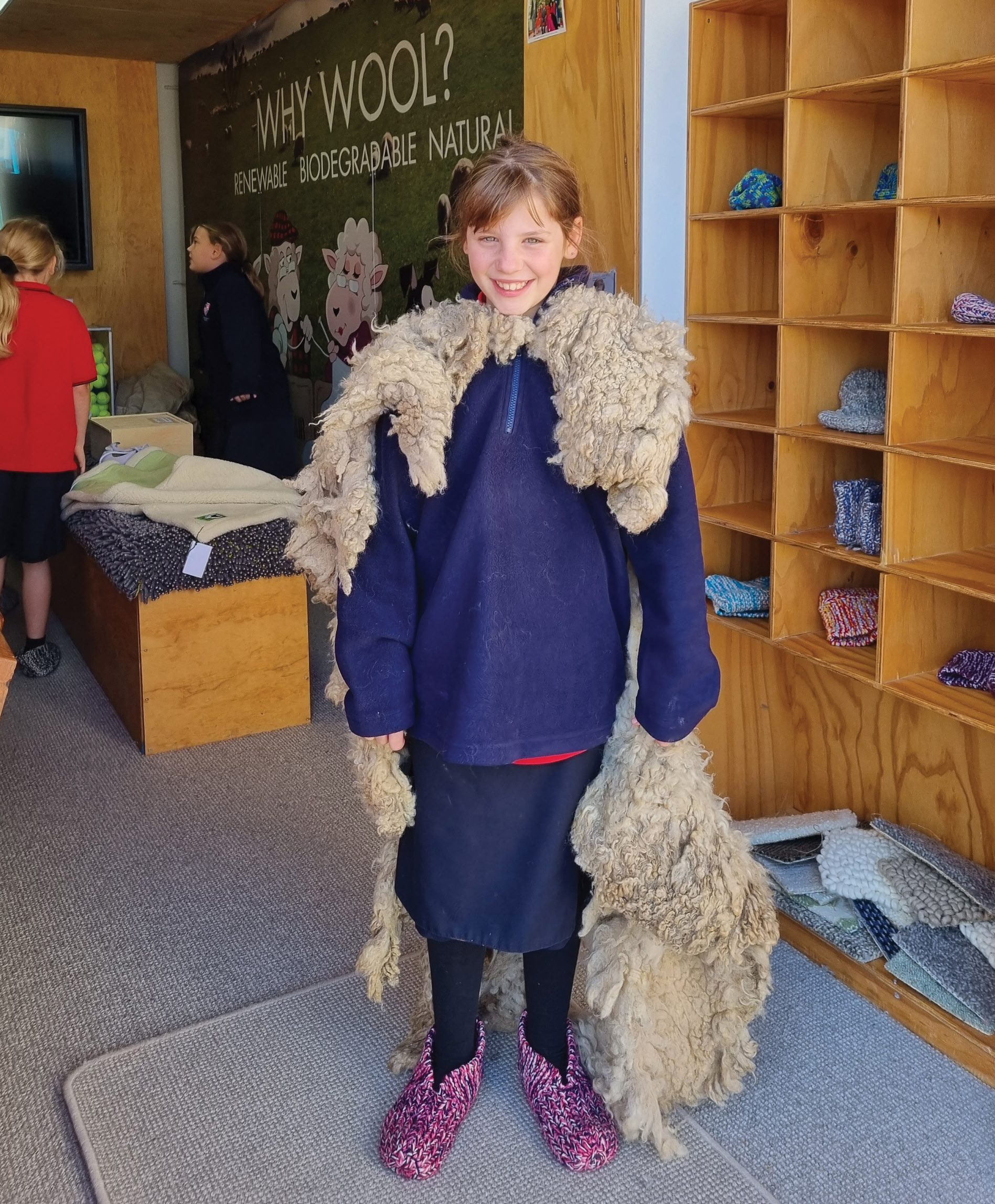 Wool's cool and it bounces - Young Country