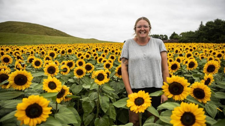 S1 Ep3: Abbe Hoare, Mangamaire Sunflower Field - Young Country
