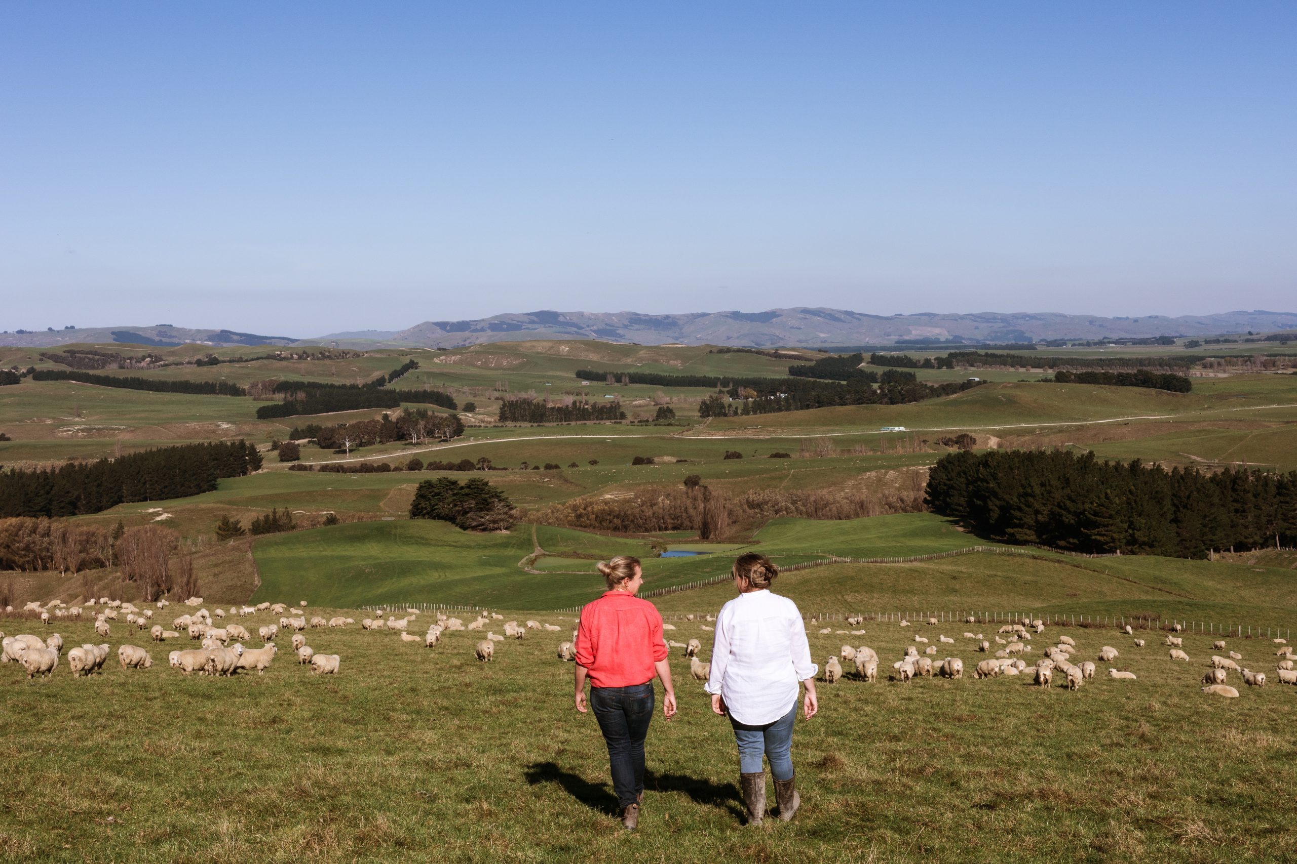 S2 Ep2: Kate Cullwick and Prue Watson, Foxtrot Home - Young Country